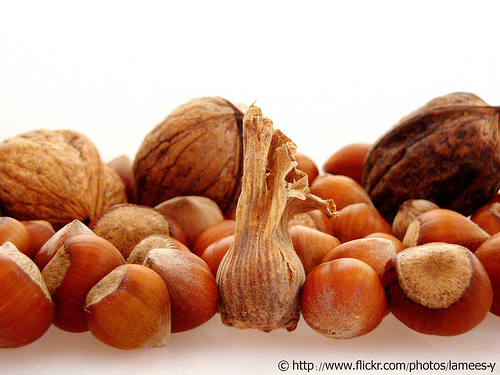 Hazelnuss Kranz (Hazelnut Ring) | The Modern Ancestor